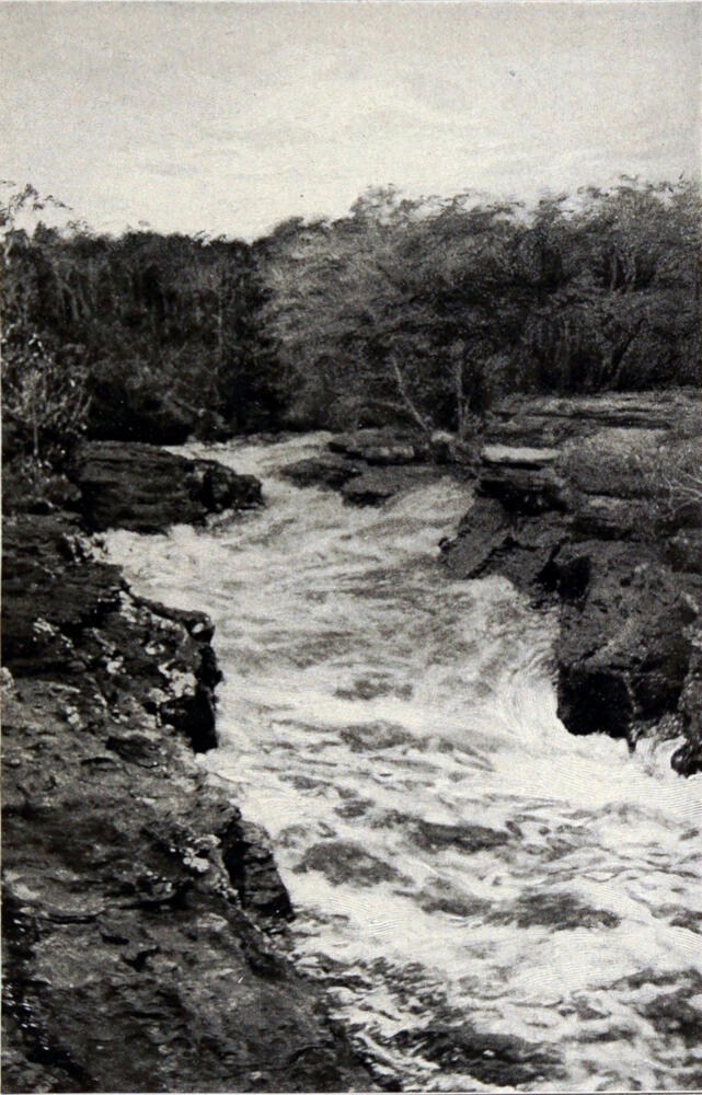 Through the Brazilian Wilderness - VIII: The River of Doubt