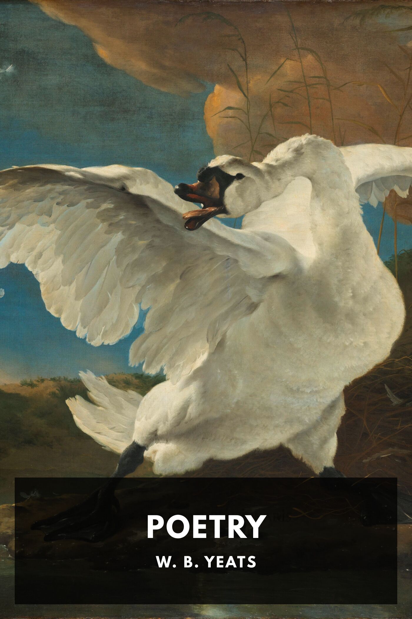 Poetry, by W. B. Yeats - Free ebook download - Standard Ebooks: Free ...