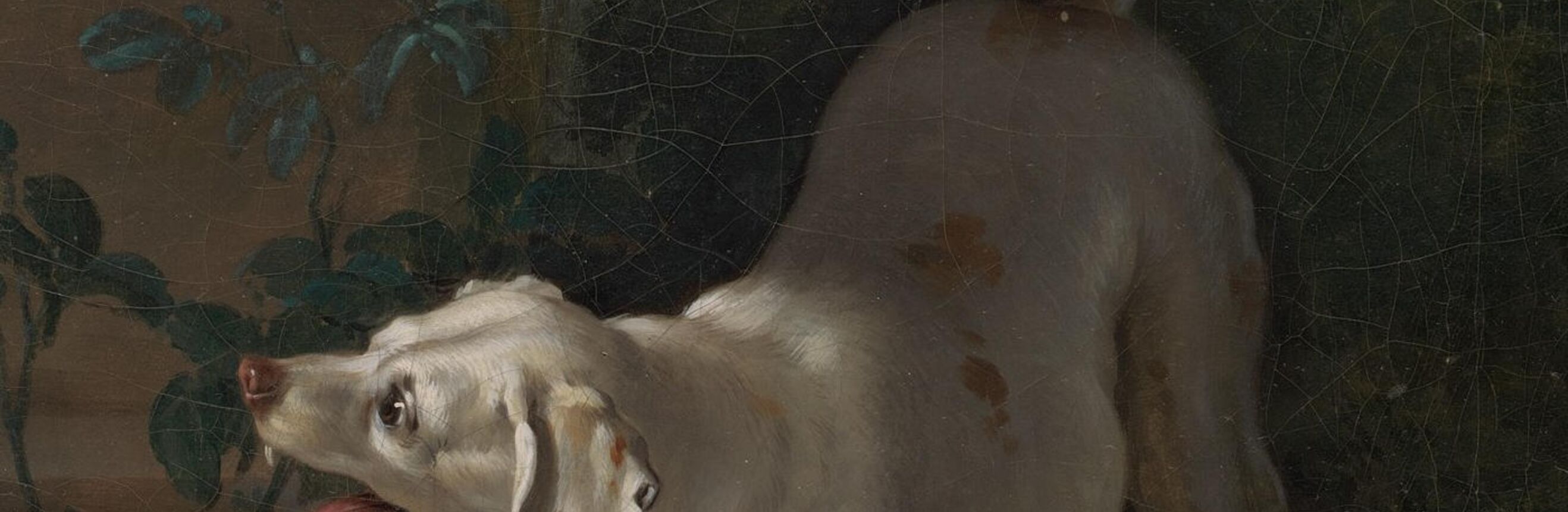 Bashan and I, by Thomas Mann. Translated by Herman George Scheffauer - Free ebook download ...